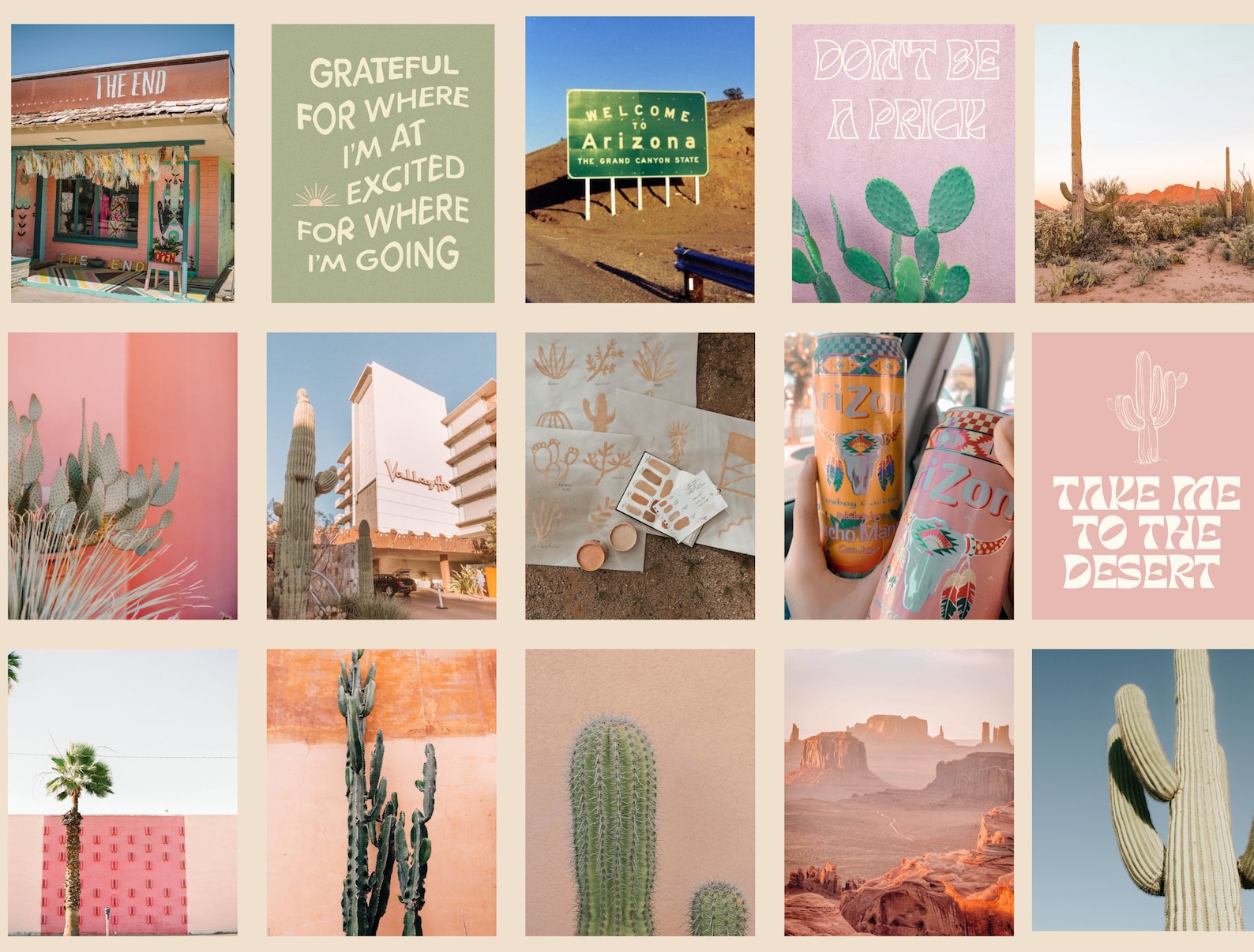 Pink Desert Aesthetic Wall Art Collage Kit, Cactus Photo Wall Collage ...