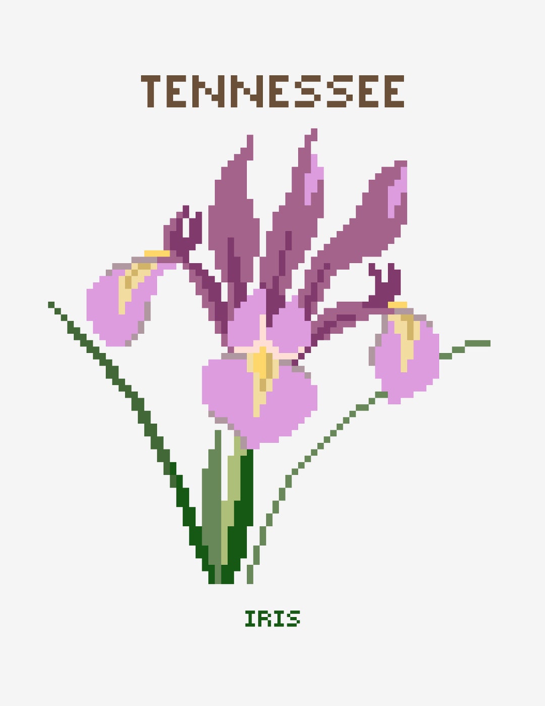 Tennessee - Iris - State Flower Print - Digital Print - Floral Print ...