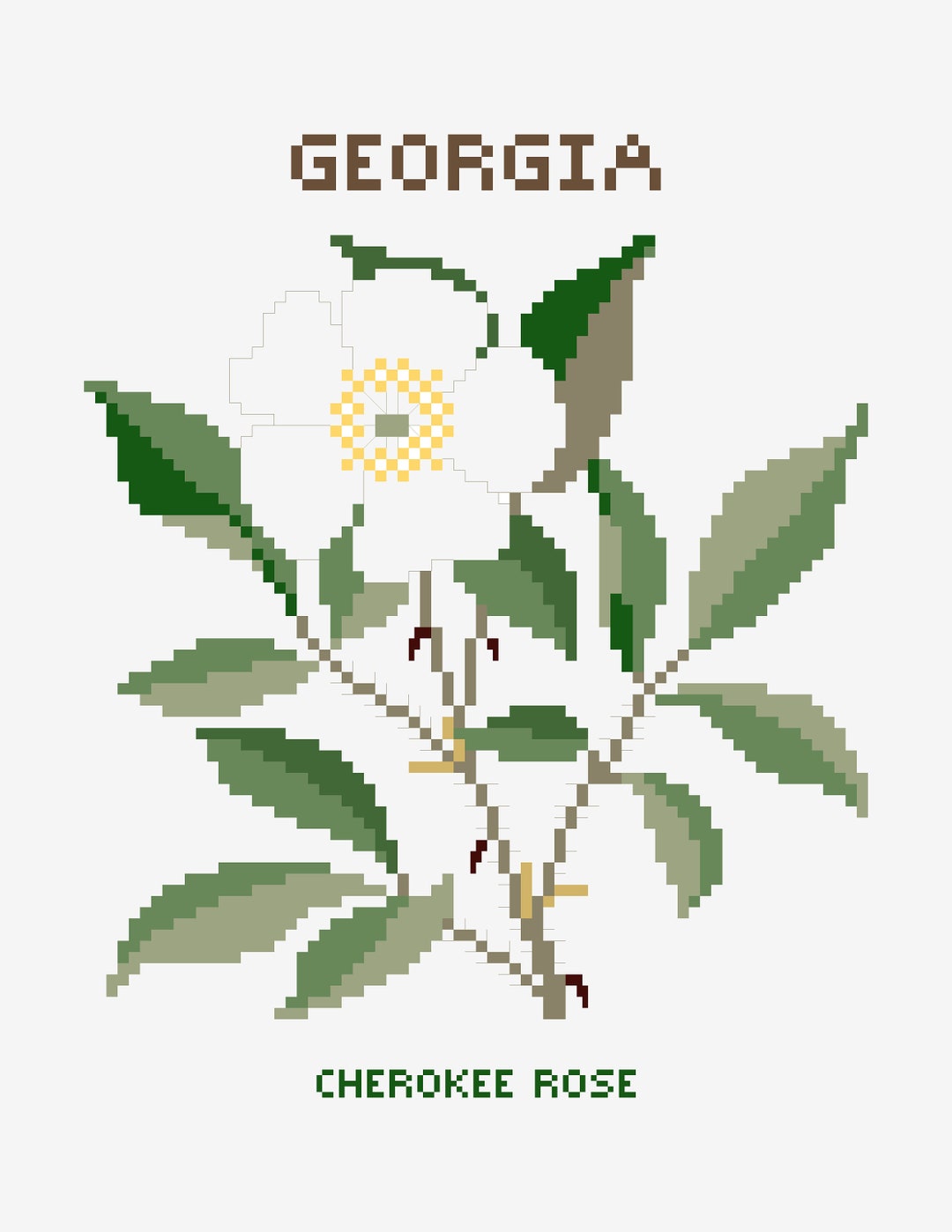 Georgia - Cherokee Rose - State Flower Print - Digital Print - Floral ...