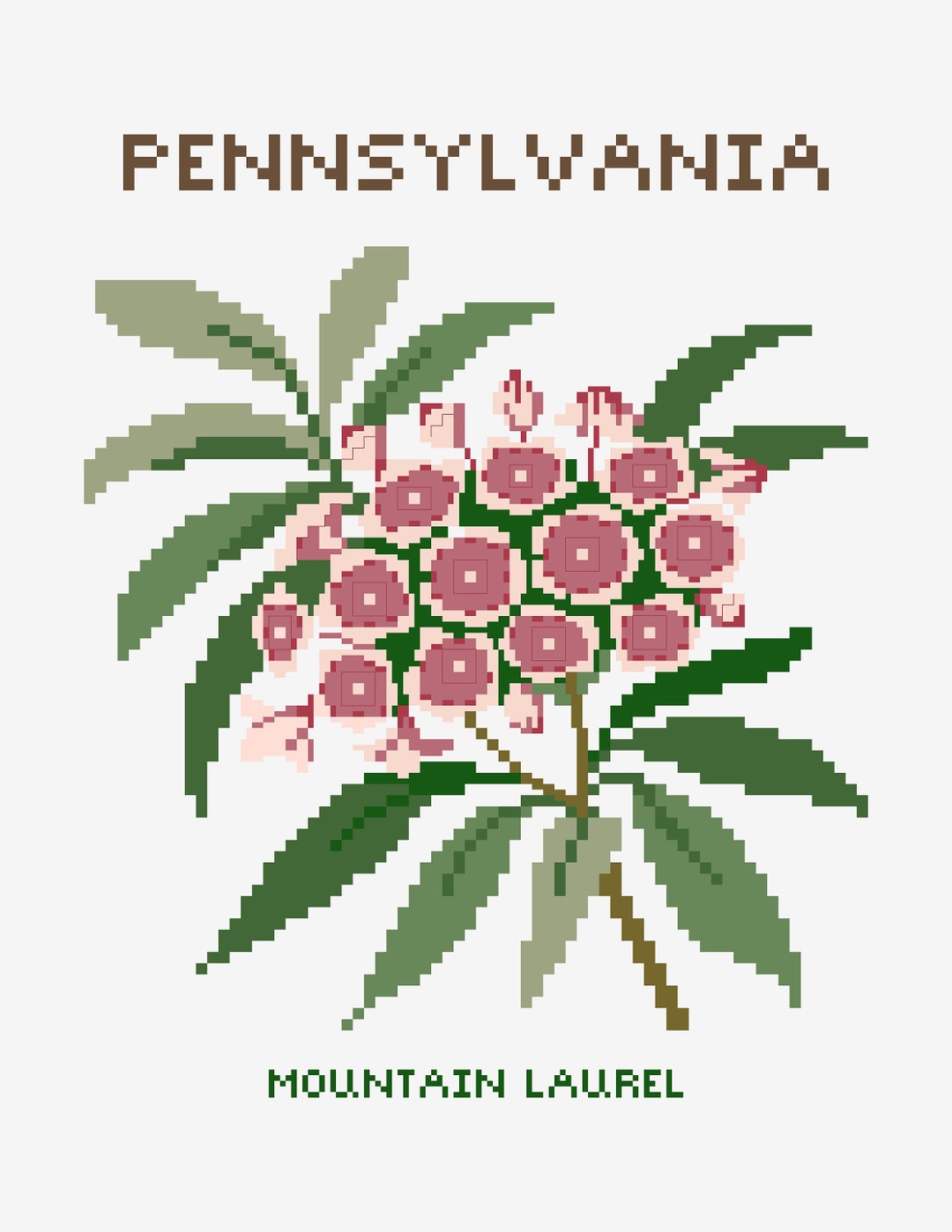 Pennsylvania - Mountain Laurel - State Flower Print - Digital Print ...