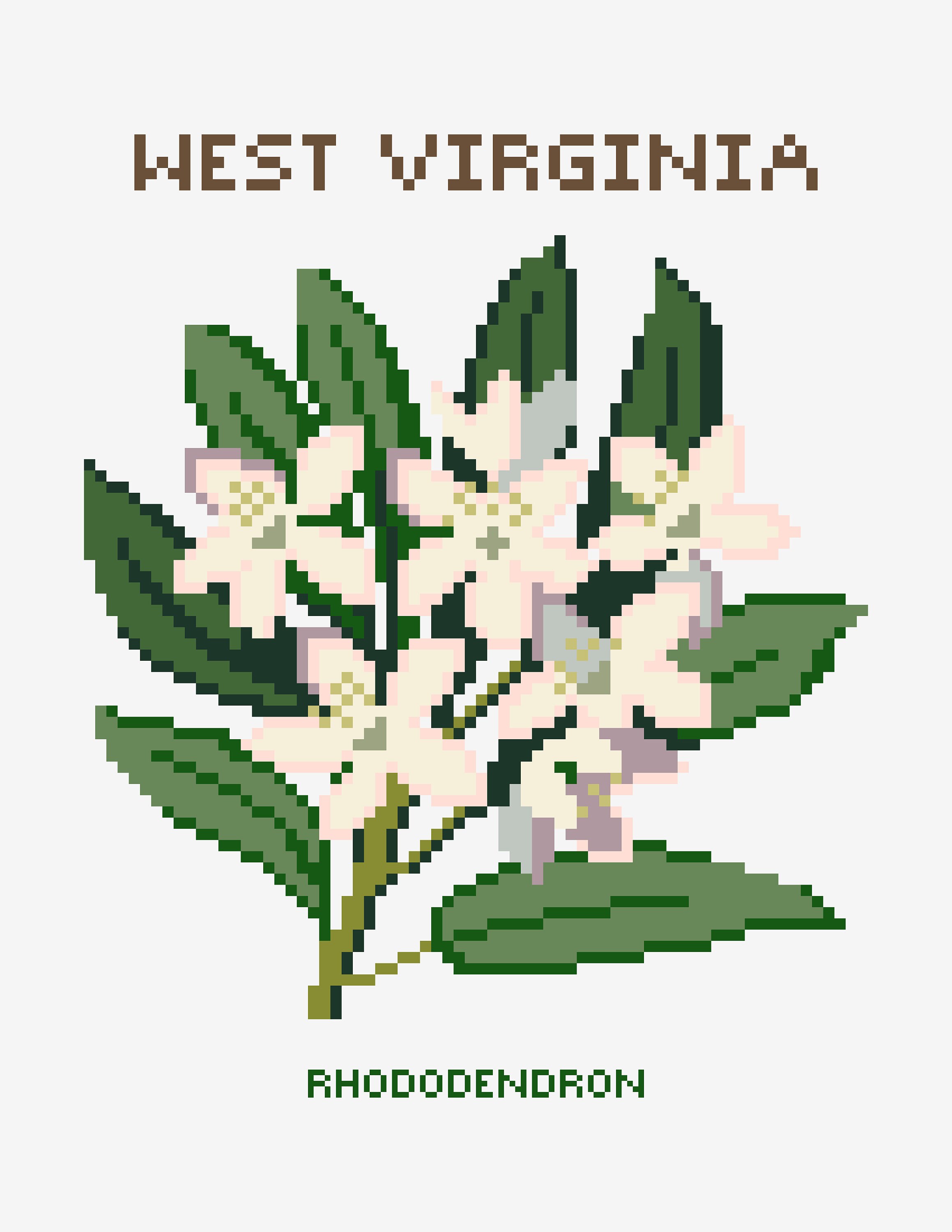 Rhododendron West Virginia
