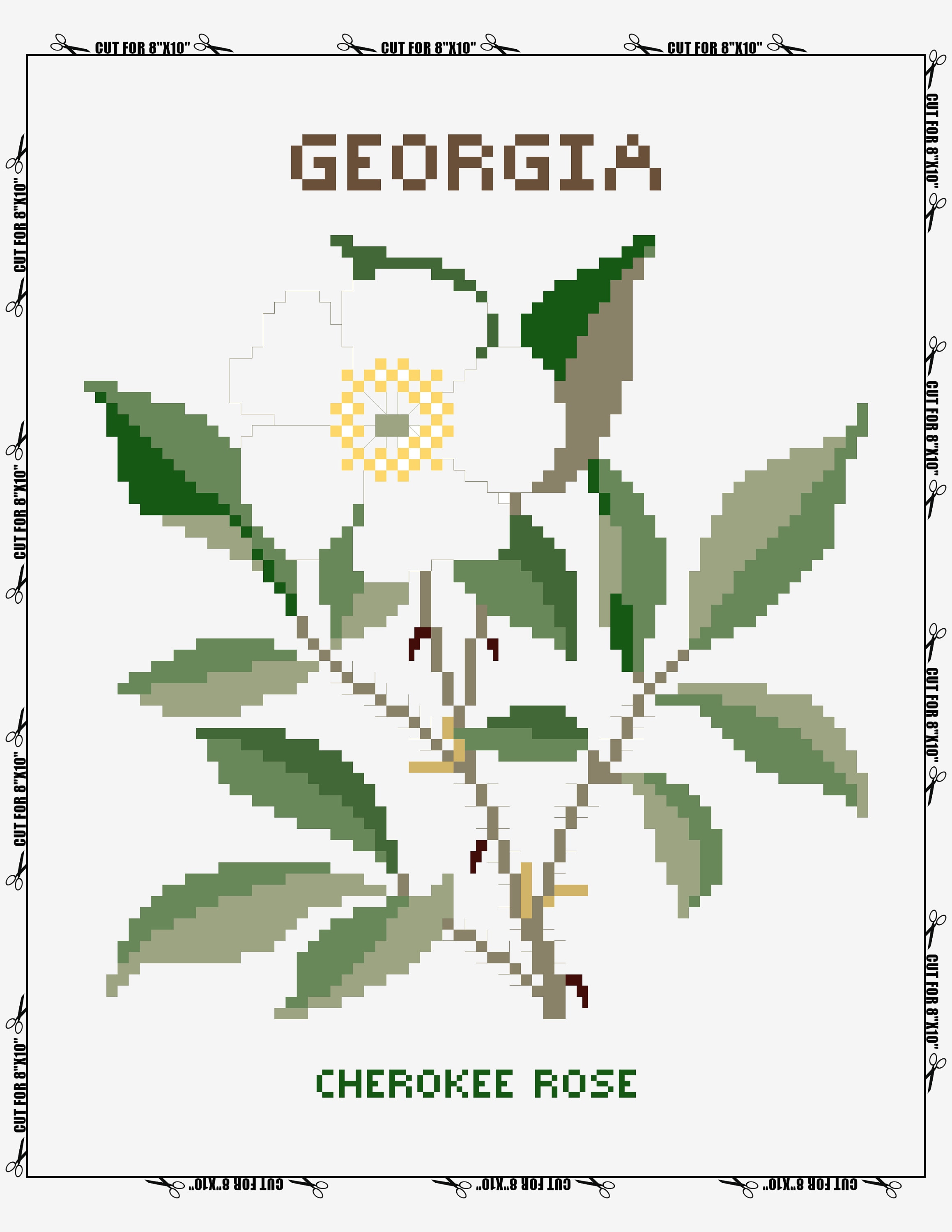 Georgia - Cherokee Rose - State Flower Print - Digital Print - Floral ...