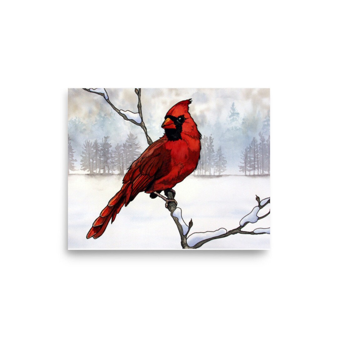 Cardinal - Photo Paper Poster (latvia Shipping) - Etsy
