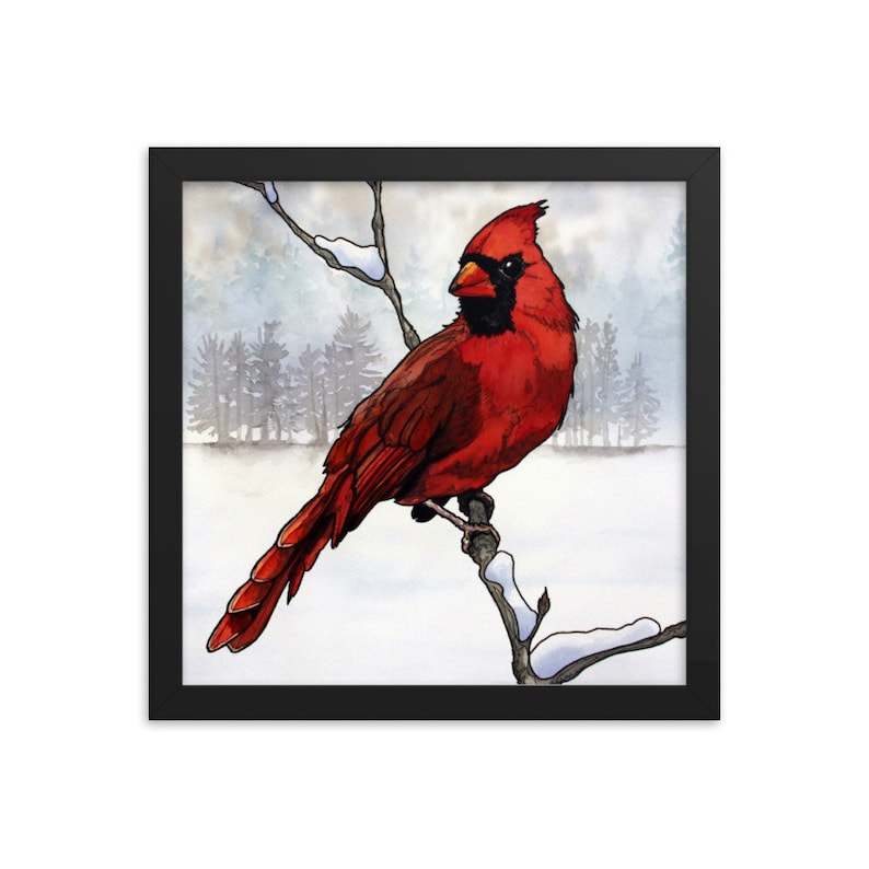 Cardinal in Winter - Framed Print - Etsy
