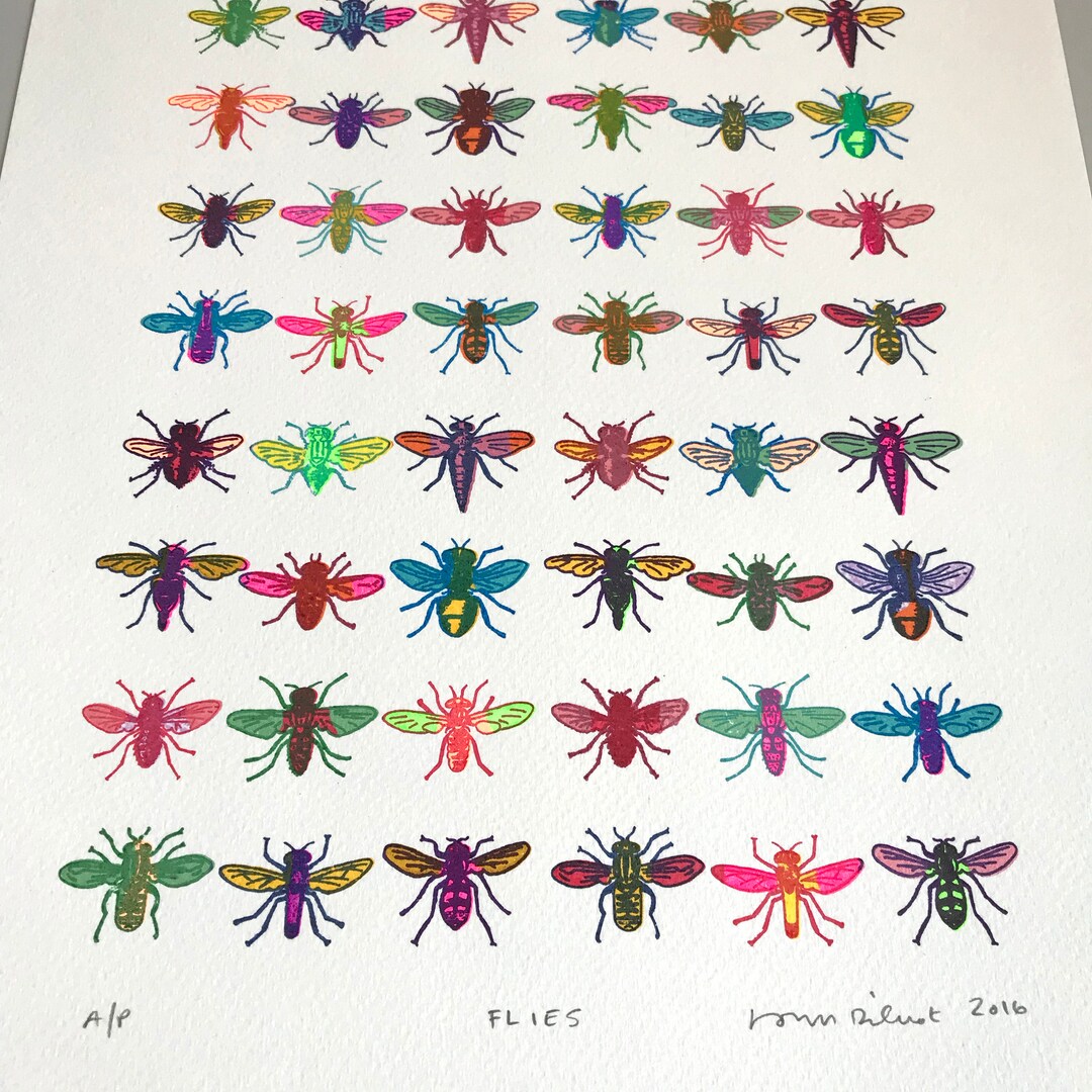 FLIES *proof - Sale* Colour Original Screen Print on Watercolour Paper ...