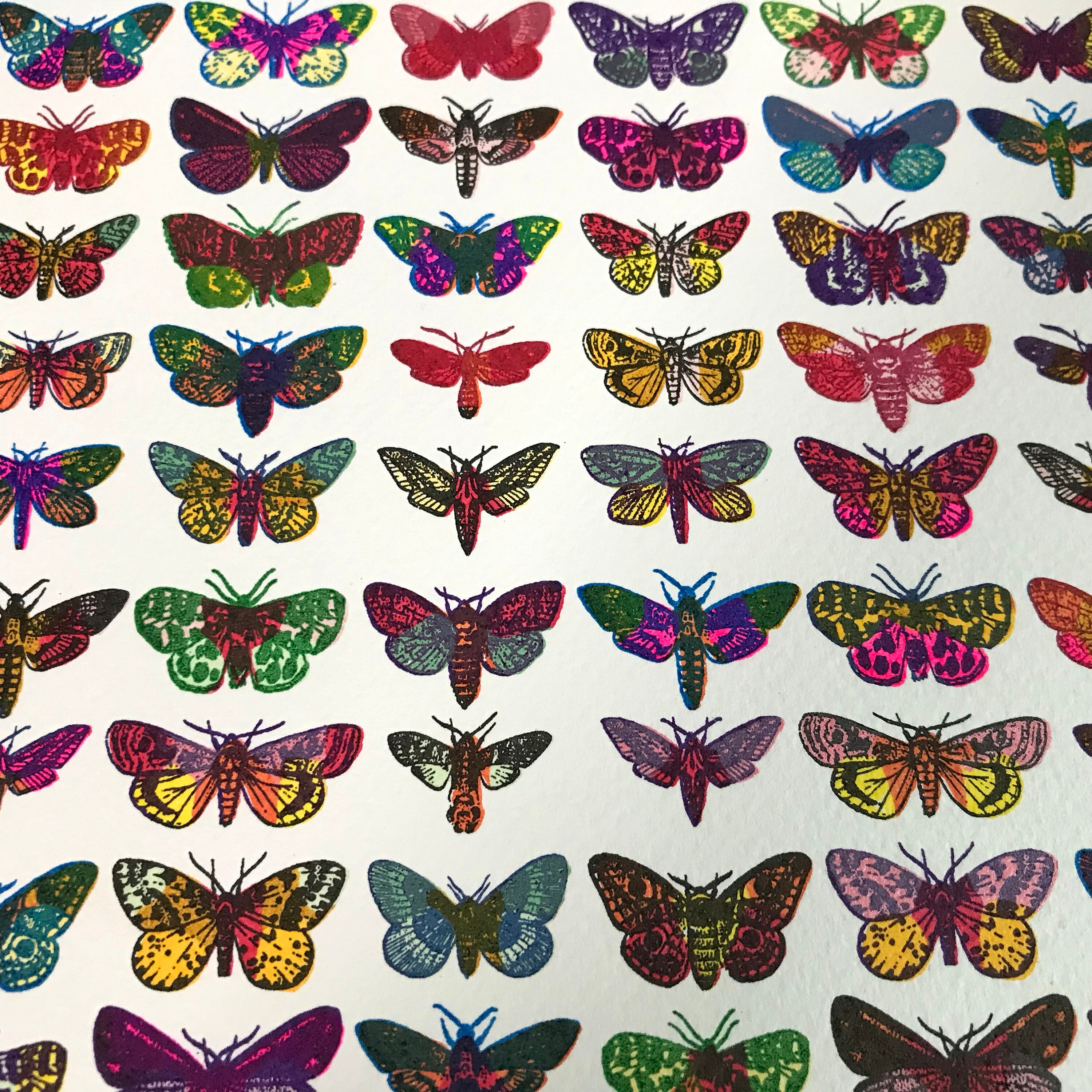 MOTHS proof Sale Multi Colour Original Screen Print on Watercolour ...