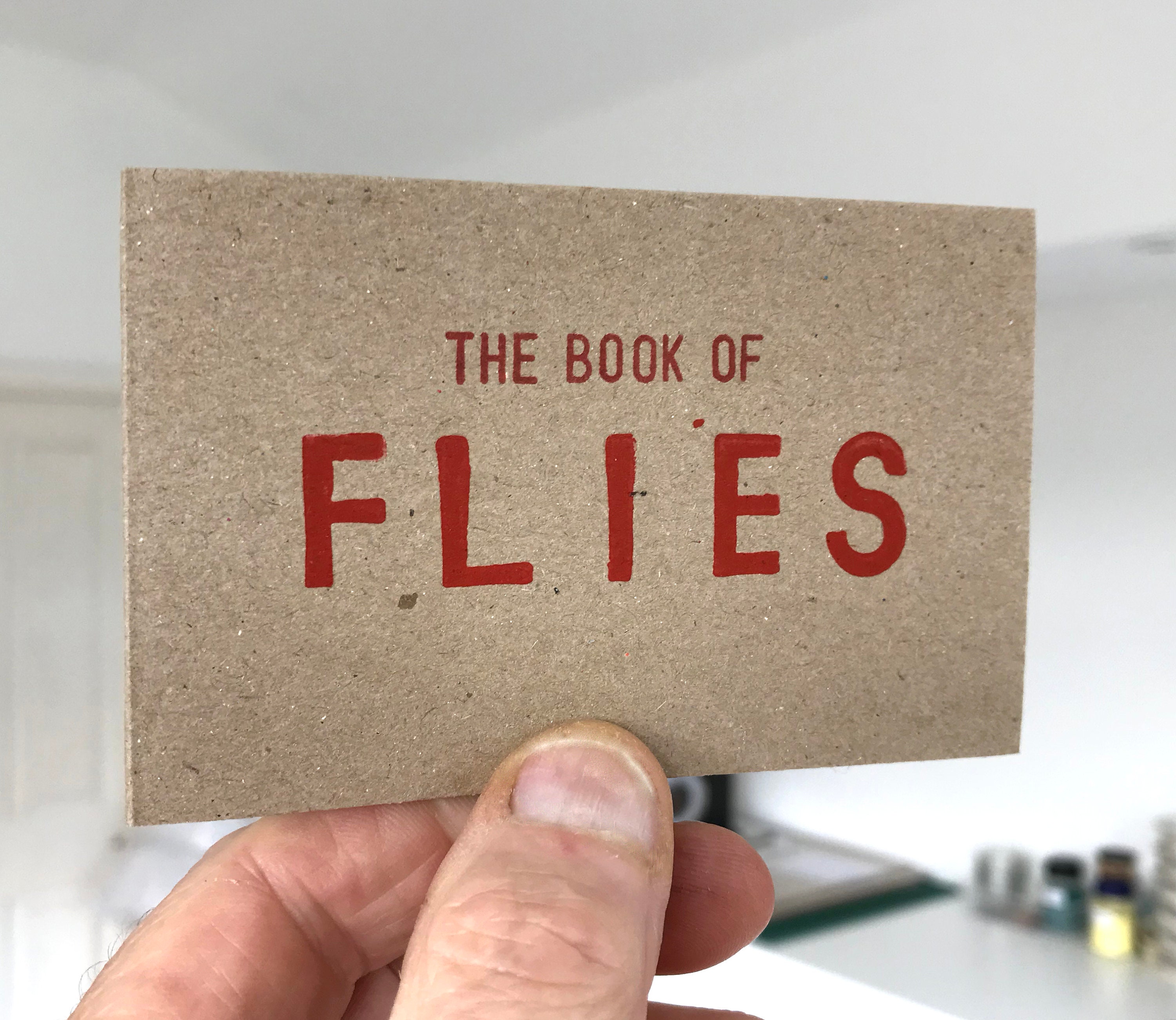 THE BOOK of FLIES Hand Screen Printed Limited Edition Book - Etsy UK