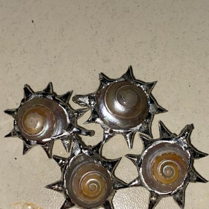 Spiral Spiky Shell Necklace,soldering Shell Ocean Jewelry - Etsy