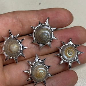 Spiral Spiky Shell Necklace,soldering Shell Ocean Jewelry - Etsy