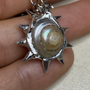 Spiral Spiky Shell Necklace,soldering Shell Ocean Jewelry - Etsy