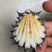 Spiked Shell Soldering Pendant, Shell Cybercore Mermaid Jewelry ...