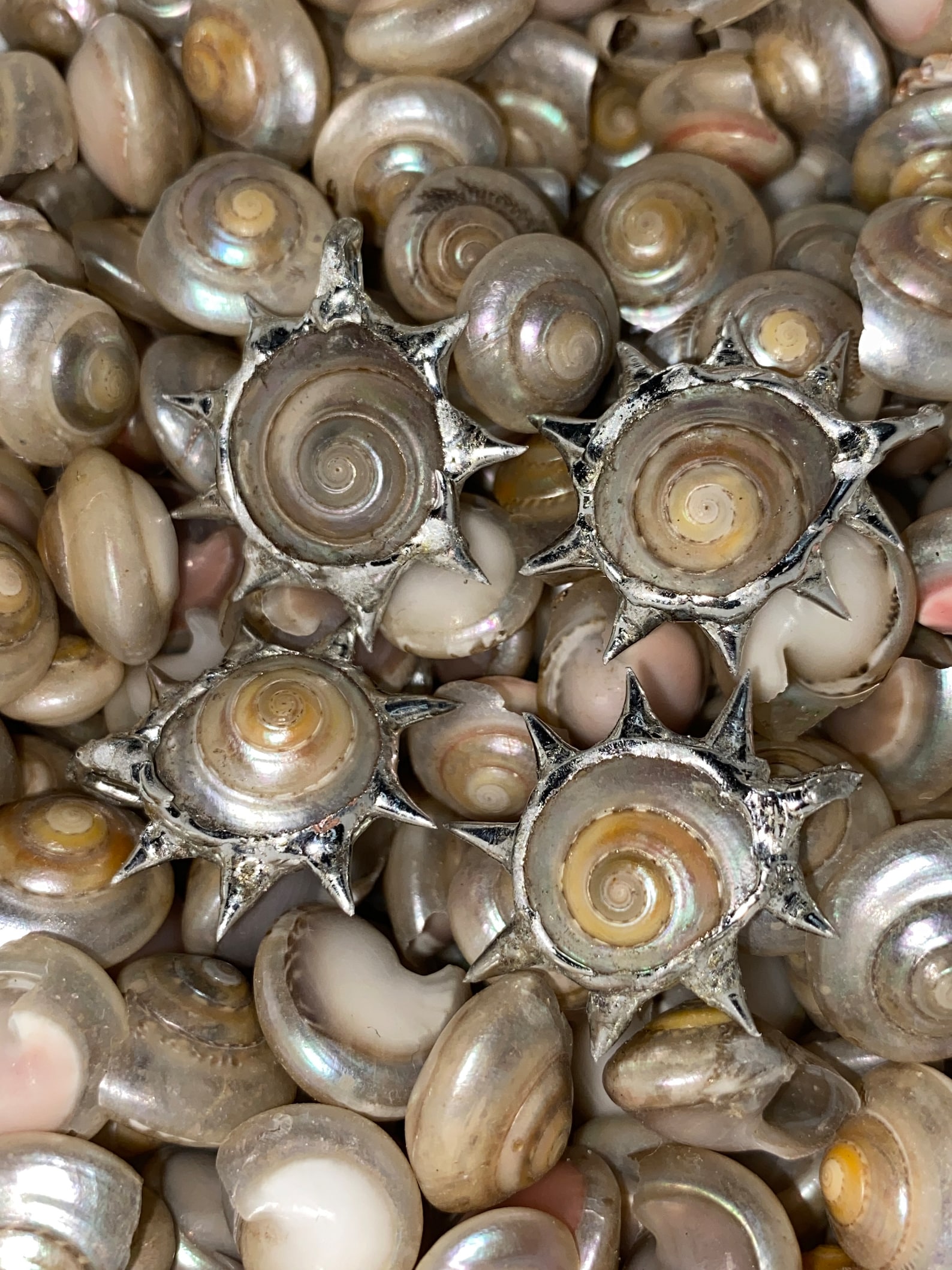 Spiral Spiky Shell Necklace,soldering Shell Ocean Jewelry - Etsy