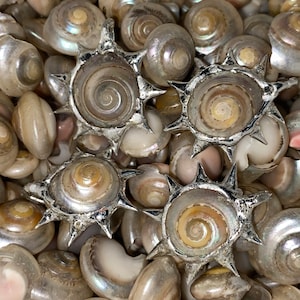 Spiral Spiky Shell Necklace,soldering Shell Ocean Jewelry - Etsy