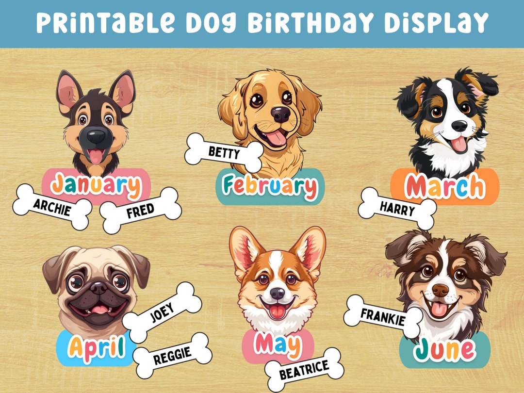 Dog Classroom Decor, Dog Classroom Theme, Classroom Birthdays, Dog ...