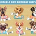 Dog Classroom Decor, Dog Classroom Theme, Classroom Birthdays, Dog ...