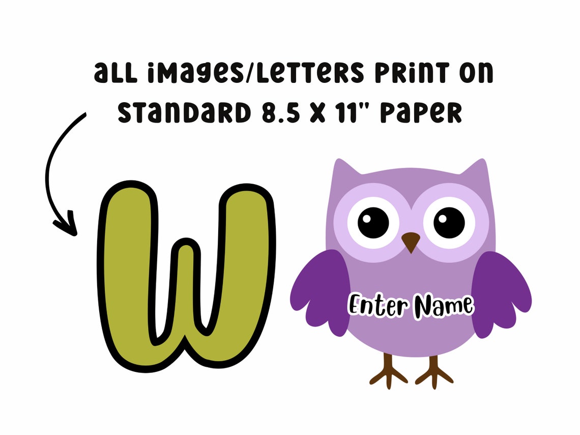 Fall Bulletin Board, Owl Classroom Decor, Autumn Classroom Decor, Back ...