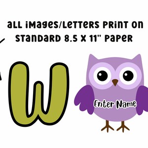 Fall Bulletin Board, Owl Classroom Decor, Autumn Classroom Decor, Back ...