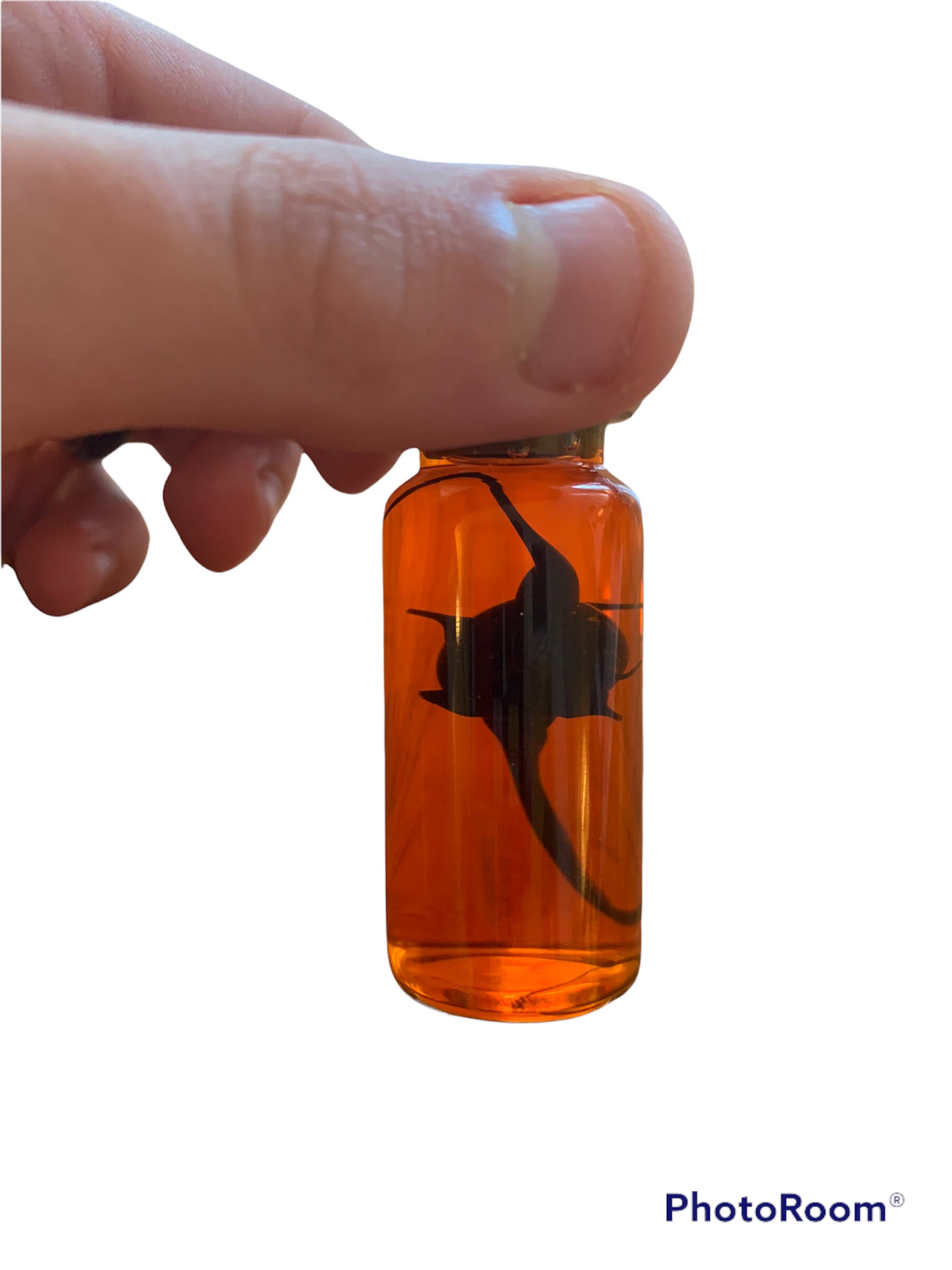 Las Plagas Parasite Resident Evil Umbrella Corp - Etsy