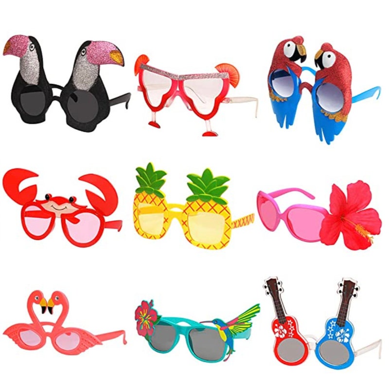 Funny Party Sunglasses Etsy