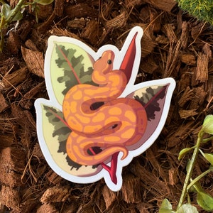 Ball Python, Banana Morph Decal / Sticker, Waterproof, Weather ...