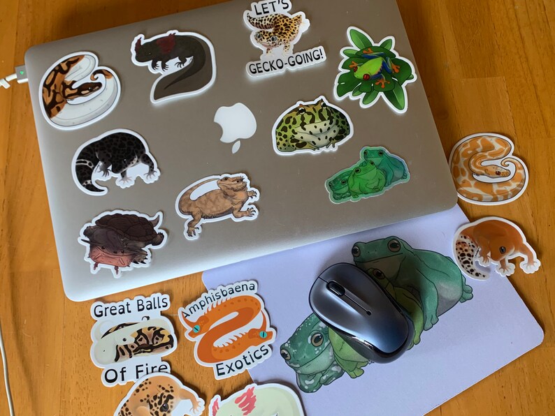 Ball Python Banana Morph Decal / Sticker Waterproof Weather - Etsy