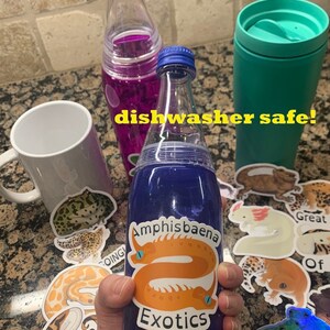 Coiled Ball Python Decals / Stickers, WATERPROOF, Your Choice of One - Etsy