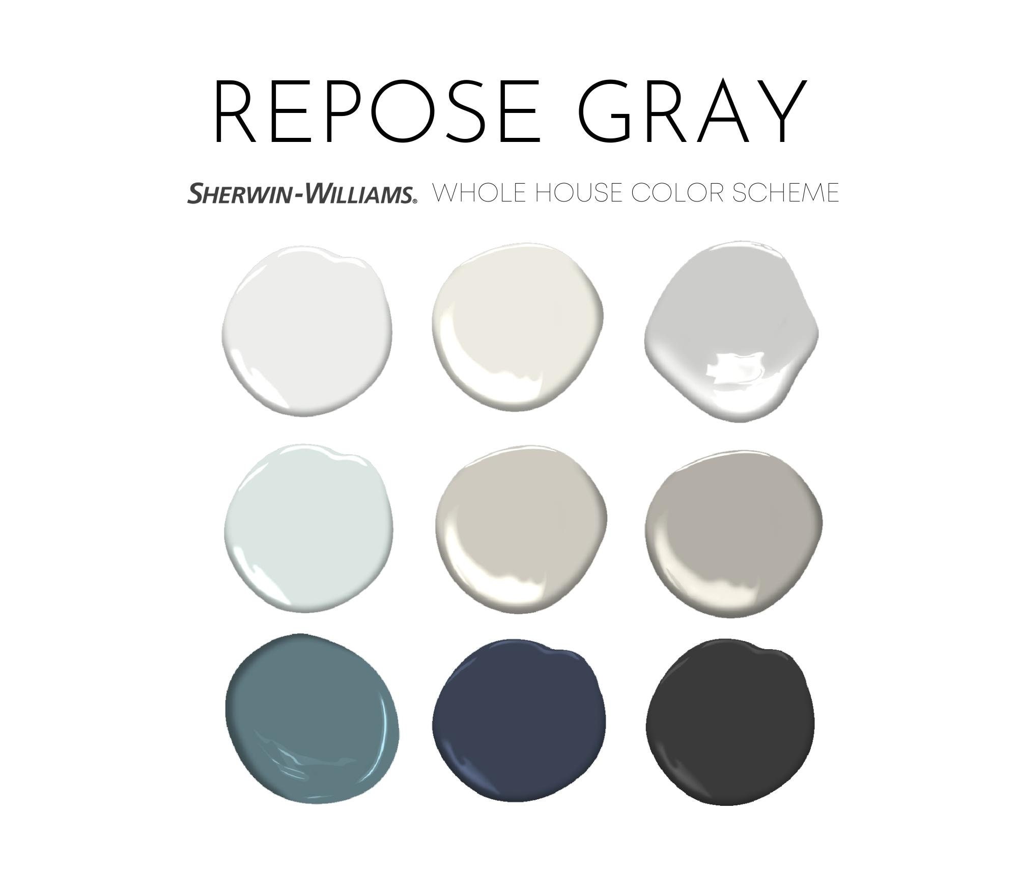 Repose Gray Sherwin Williams Paint Palette Modern Neutrals - Etsy