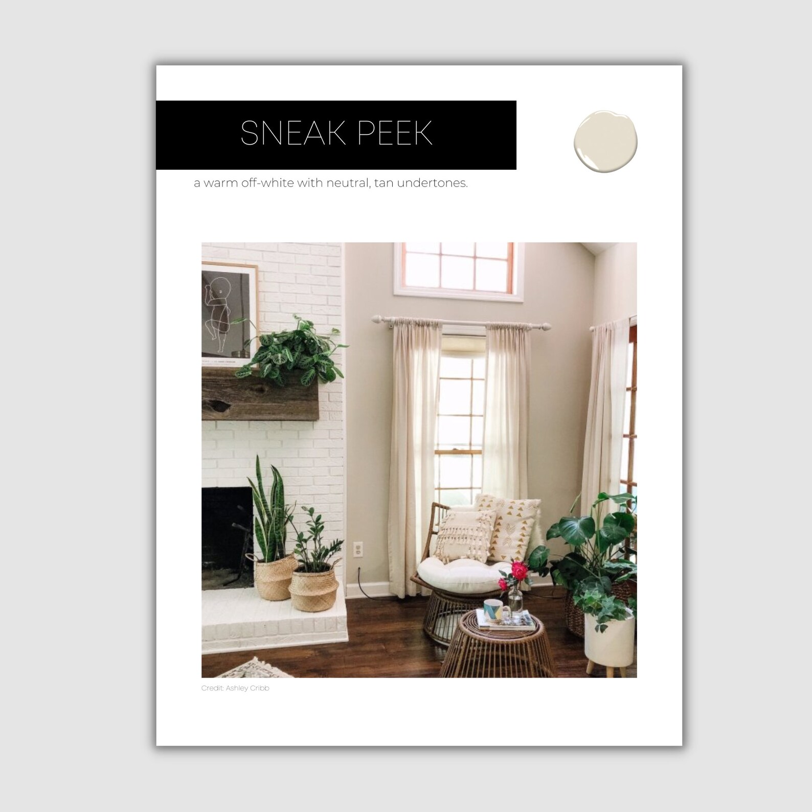 Boho Neutrals Sherwin Williams Paint Palette 2023 Color of - Etsy