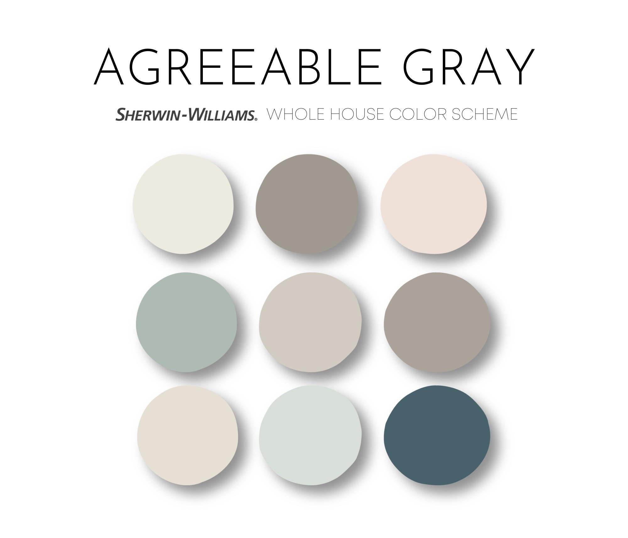 Agreeable Gray Sherwin Williams Paint Palette Modern Neutral - Etsy