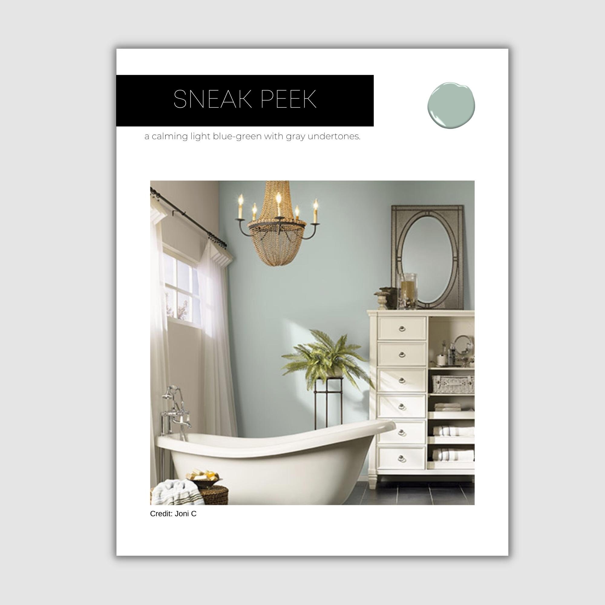 Apparition Benjamin Moore Paint Palette Modern Interior Paint - Etsy