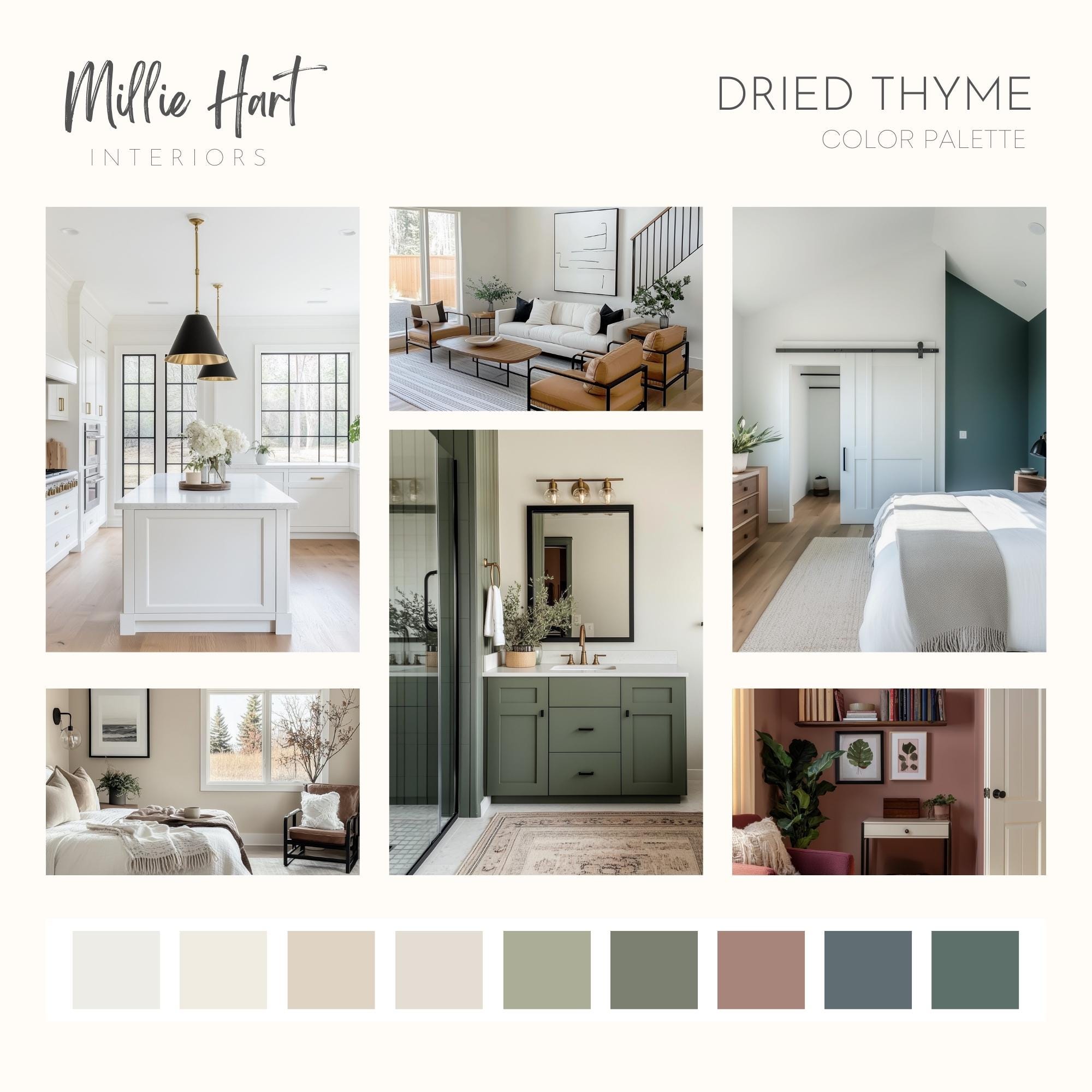 Dried Thyme Sherwin Williams Paint Palette, Timeless Neutral Interior ...