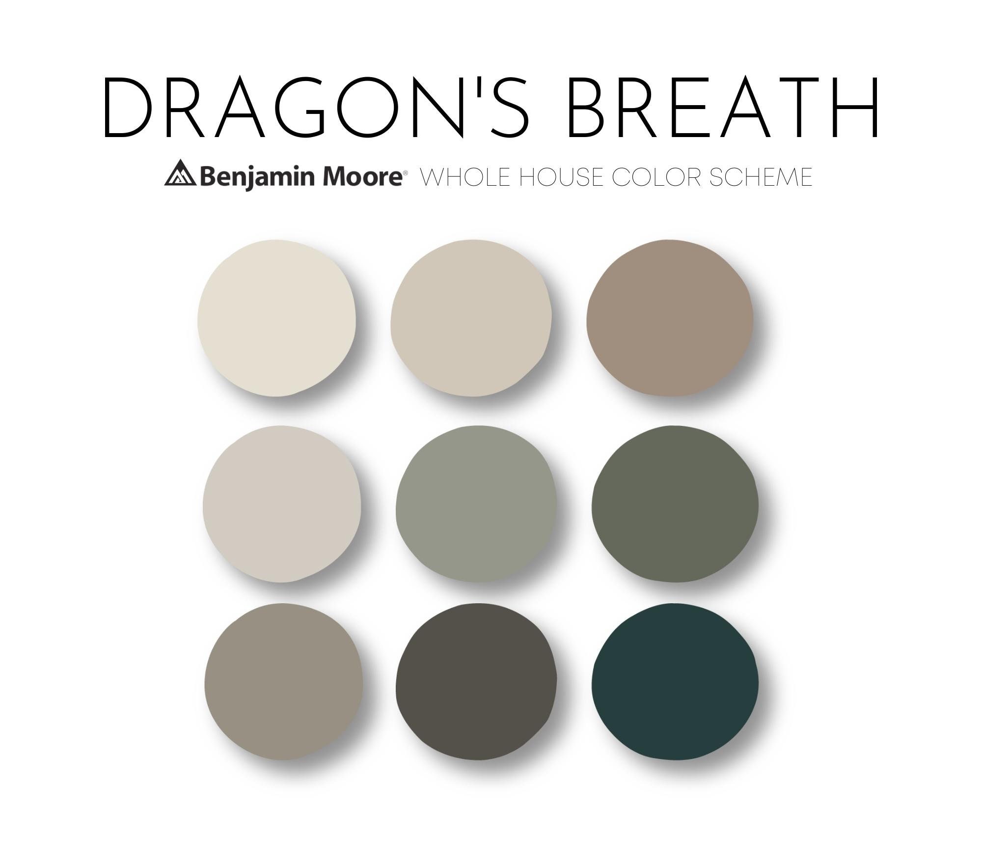 Dragon's Breath Benjamin Moore Paint Palette Warm - Etsy