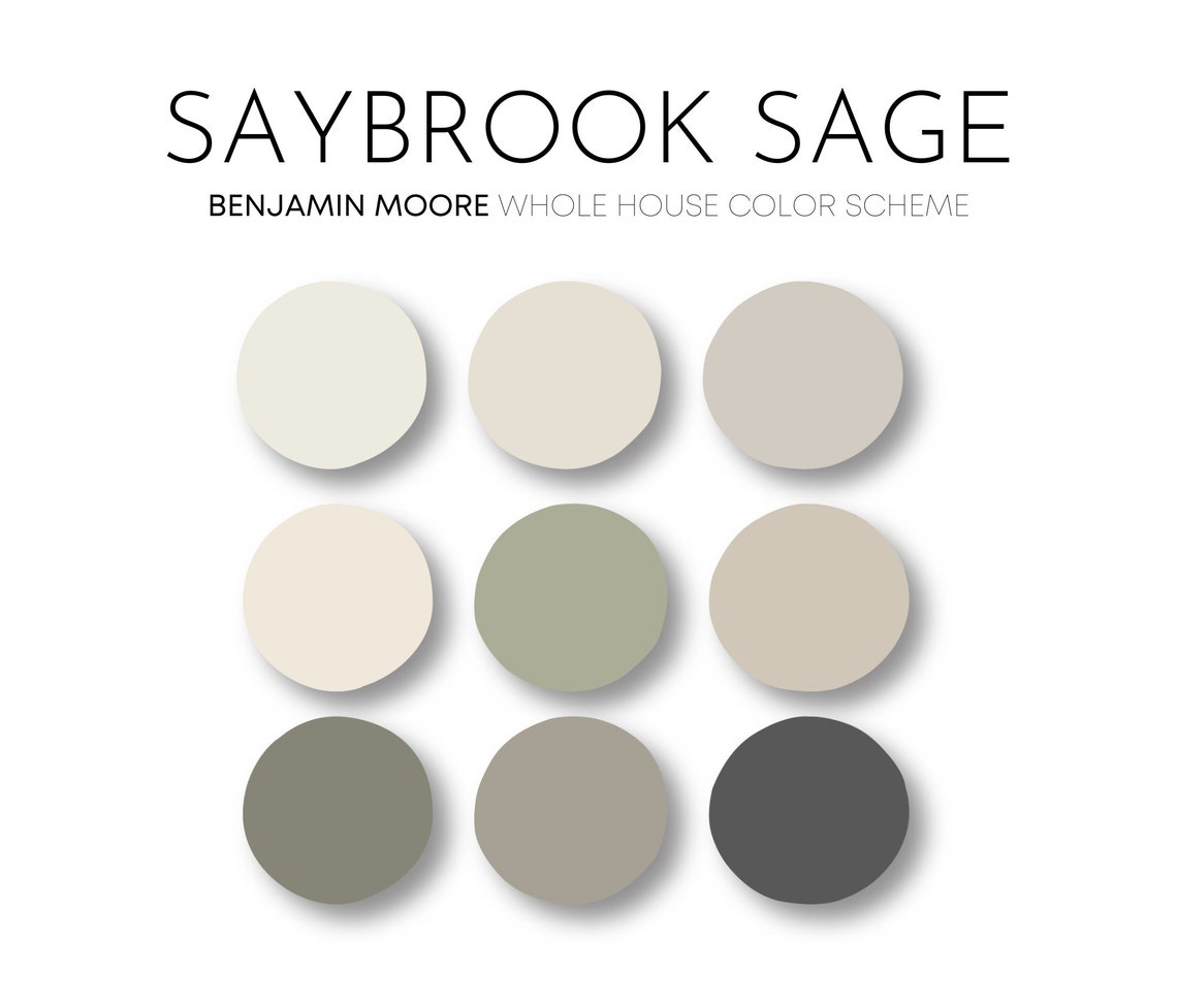 Benjamin Moore Saybrook Sage Paint Palette Best Selling - Etsy
