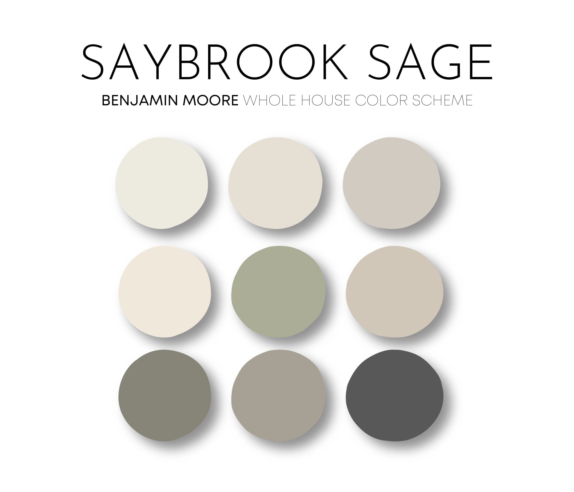 Benjamin Moore Saybrook Sage Paint Palette Best Selling - Etsy