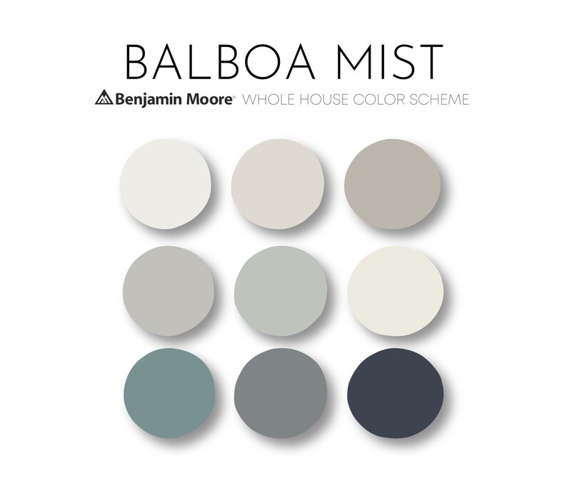 Balboa Mist Benjamin Moore Paint Palette Modern Neutral - Etsy
