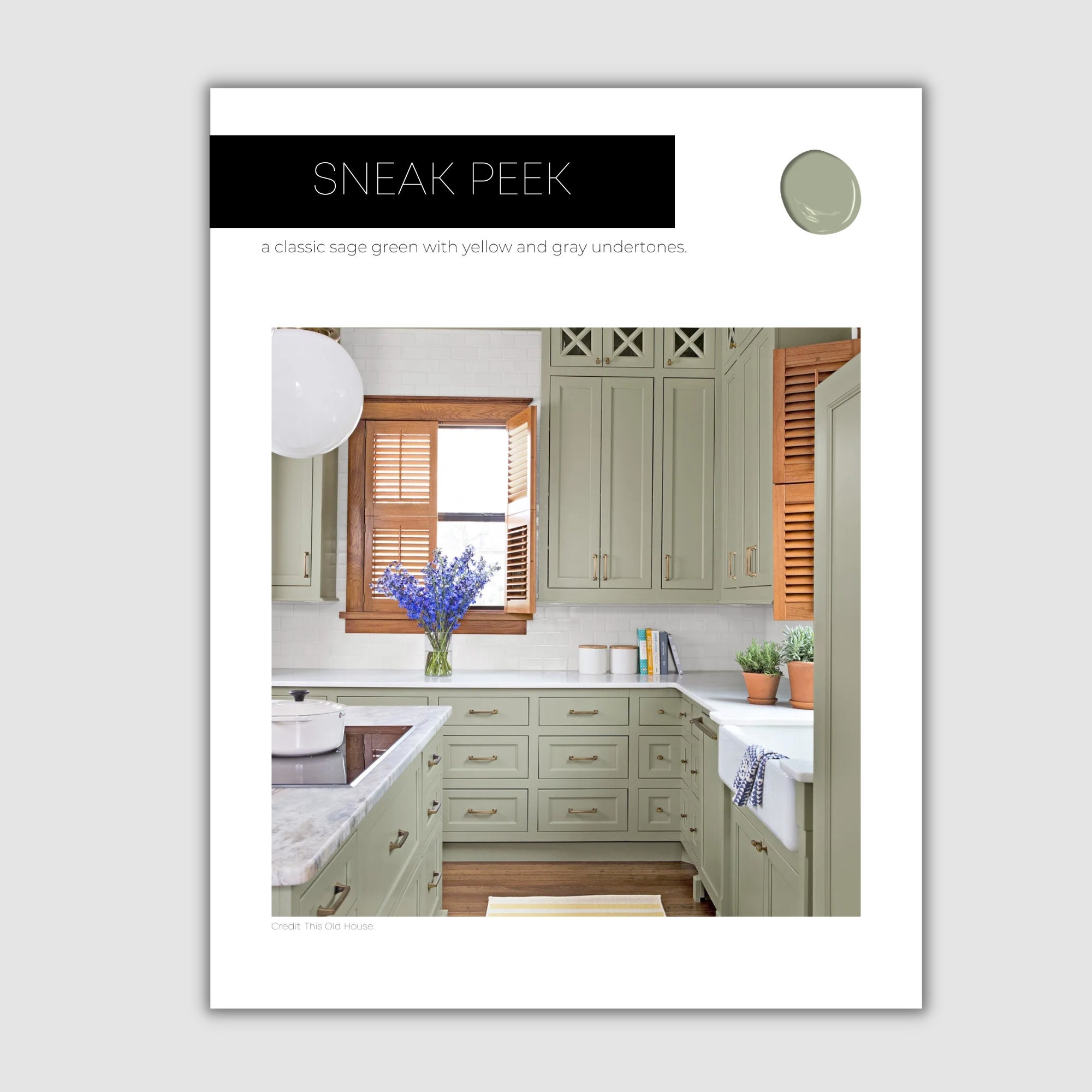 Benjamin Moore Saybrook Sage Paint Palette Best Selling - Etsy