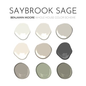 Benjamin Moore Saybrook Sage Paint Palette Best Selling - Etsy