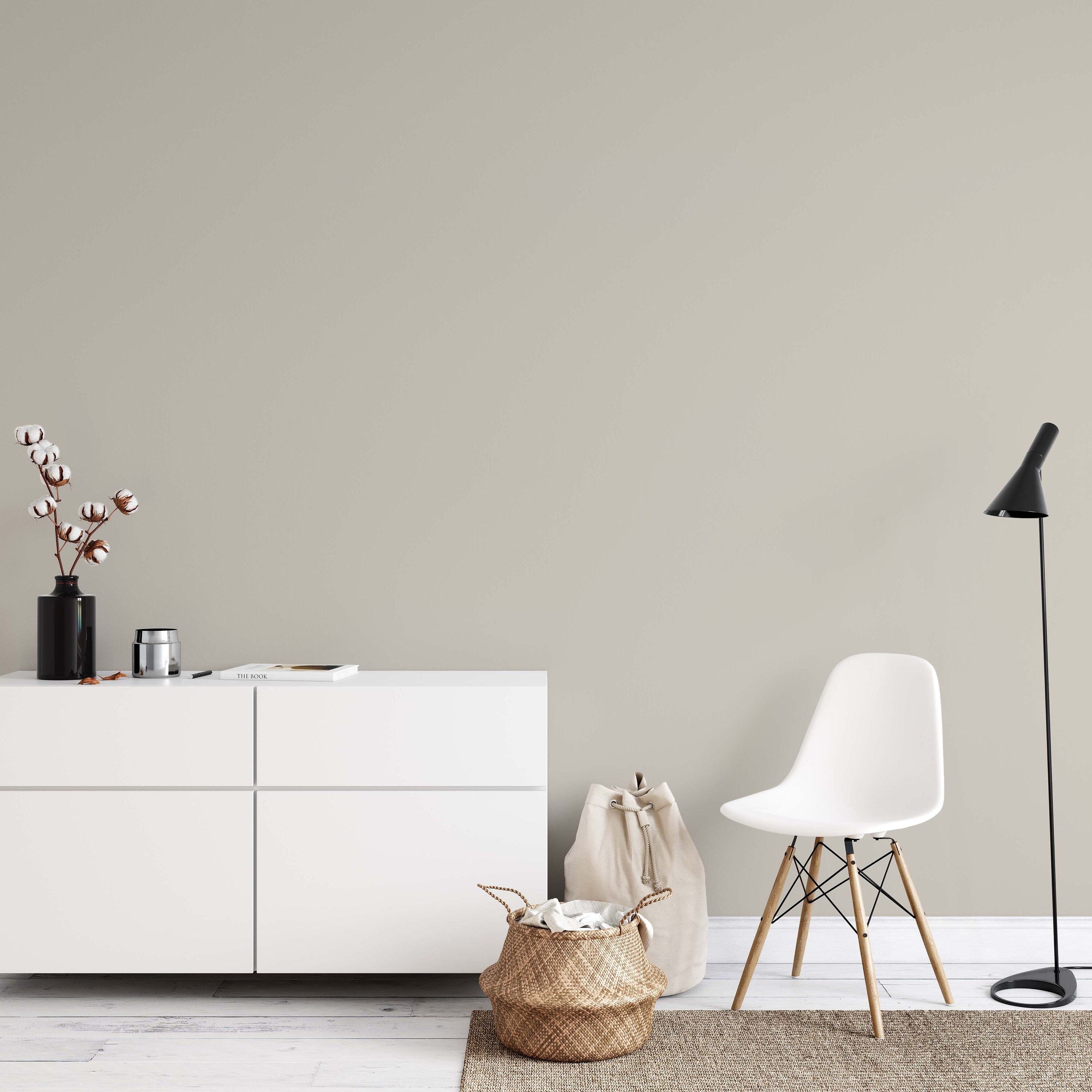 Agreeable Gray Sherwin Williams Paint Palette Modern Neutral - Etsy