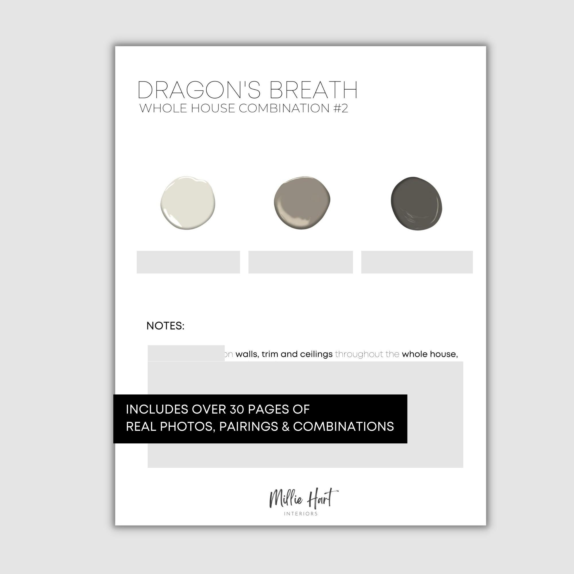 Dragon's Breath Benjamin Moore Paint Palette Warm - Etsy