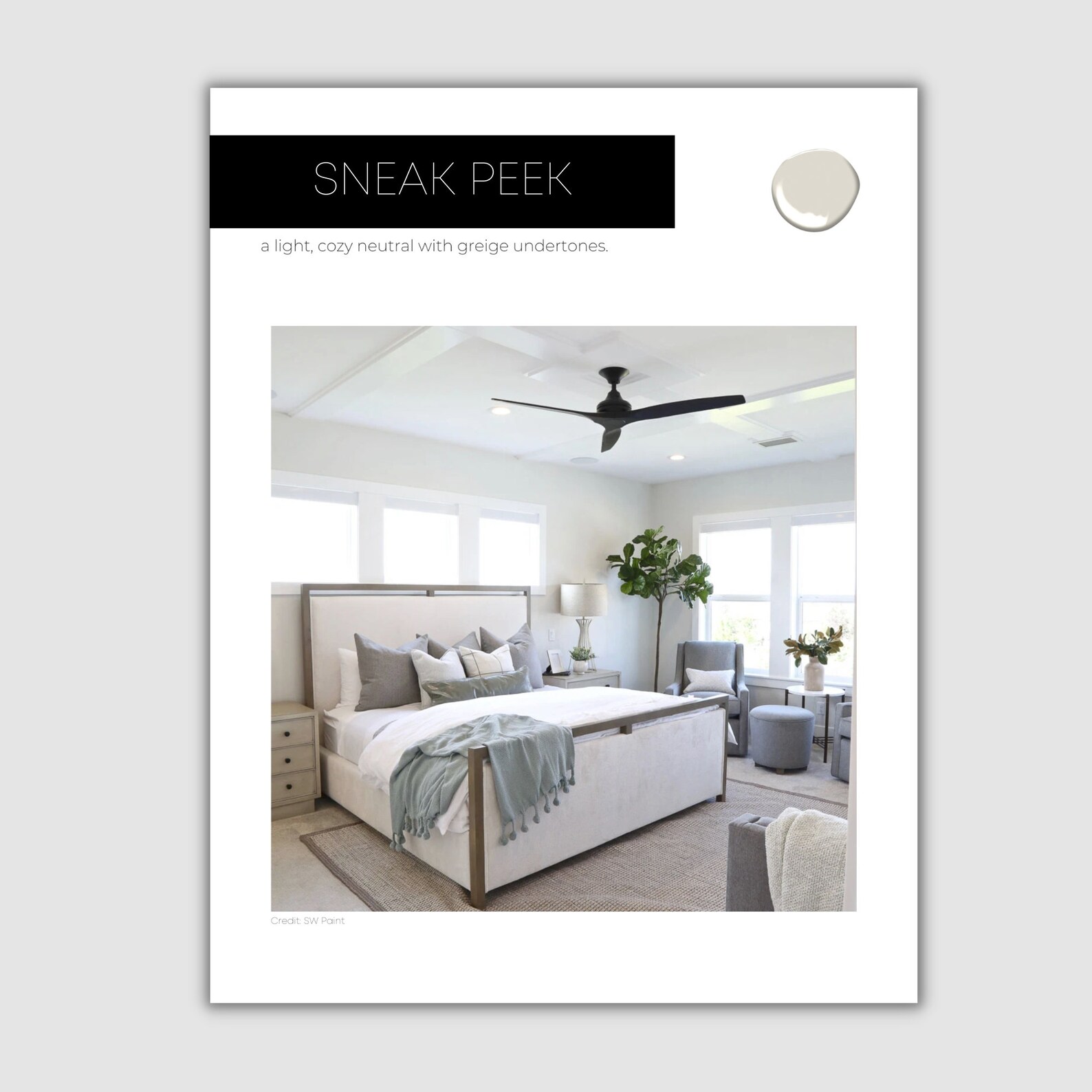 Calm Neutrals Benjamin Moore Paint Palette Modern Neutral - Etsy