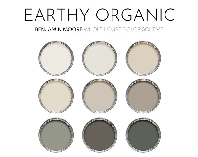 Benjamin Moore SOFT CHAMOIS Color Palette, Modern Color Scheme, Soft ...