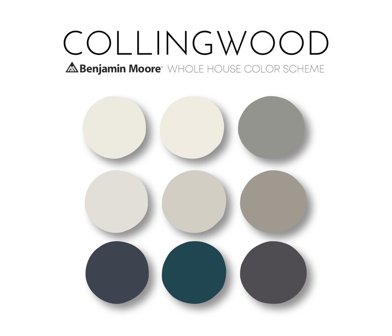 Collingwood Benjamin Moore Paint Palette Modern Neutral - Etsy