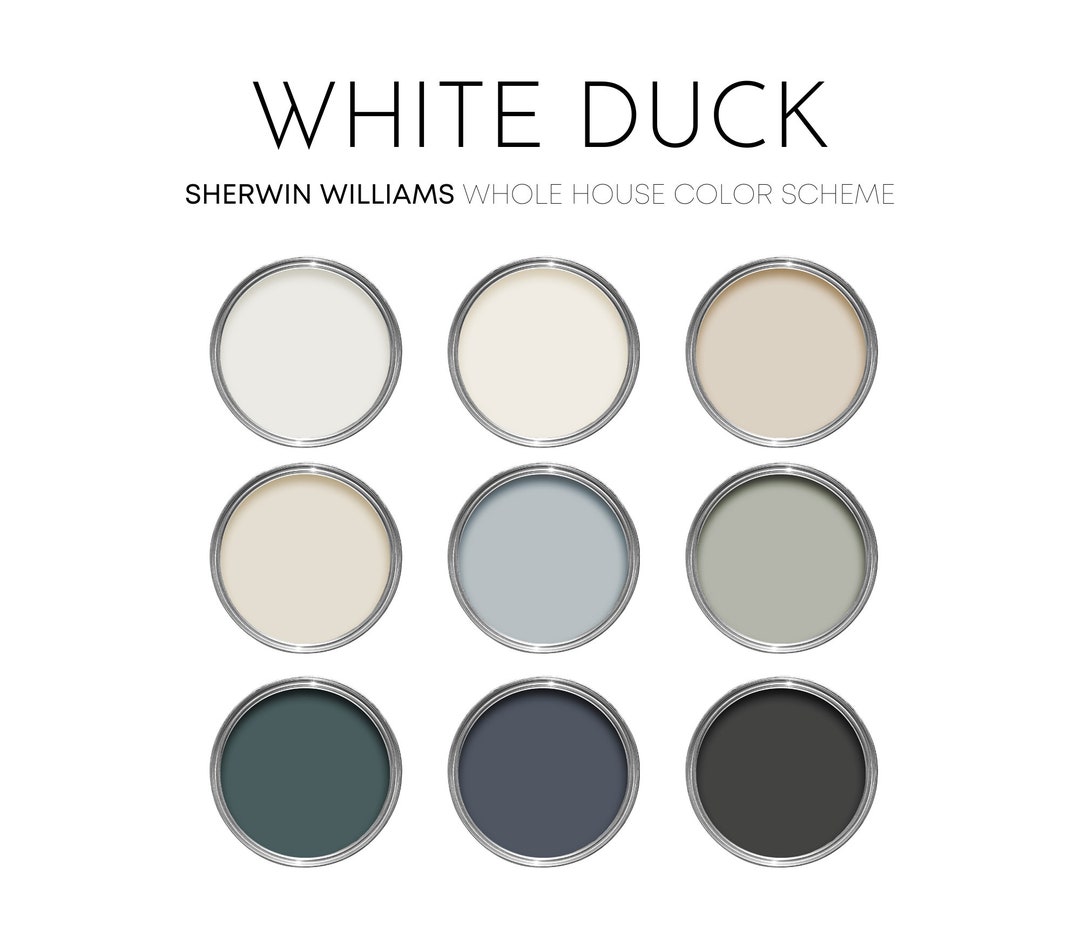 White Duck Sherwin Williams Paint Palette, Modern Neutral, Calm Classic ...
