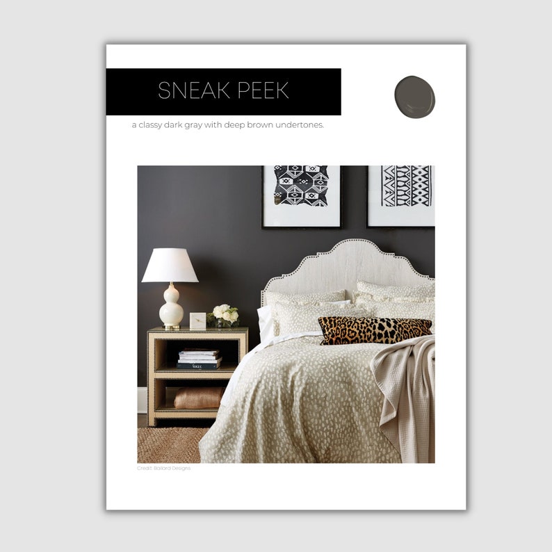 Ballet White Benjamin Moore Paint Palette Best Selling - Etsy