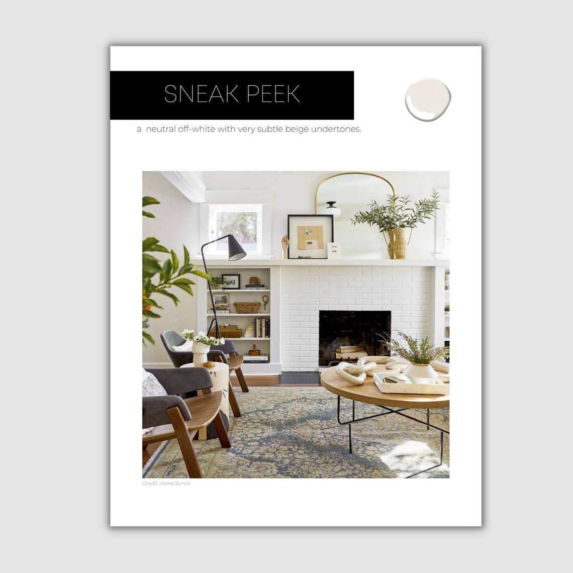 Repose Gray Sherwin Williams Paint Palette Modern Neutrals - Etsy