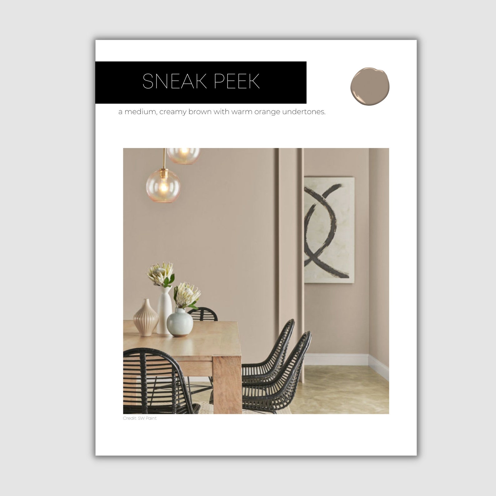 Modern Organic Sherwin Williams Paint Palette Modern Neutral - Etsy