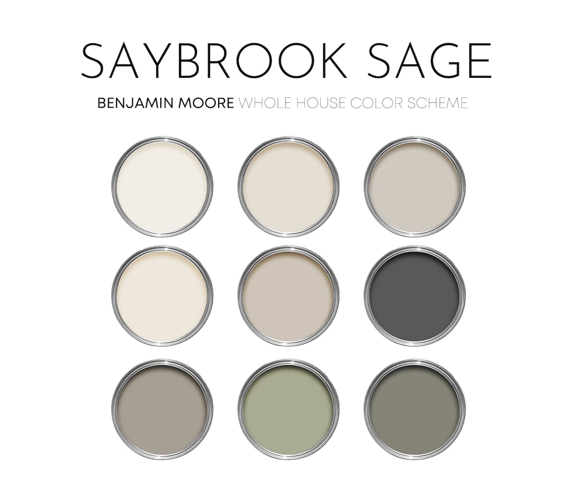 Benjamin Moore Saybrook Sage Paint Palette, Best Selling Neutrals ...
