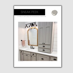 Nimbus Benjamin Moore Paint Palette Modern Neutrals Whole - Etsy