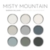 Apparition Benjamin Moore Paint Palette, Modern Interior Paint Colors ...