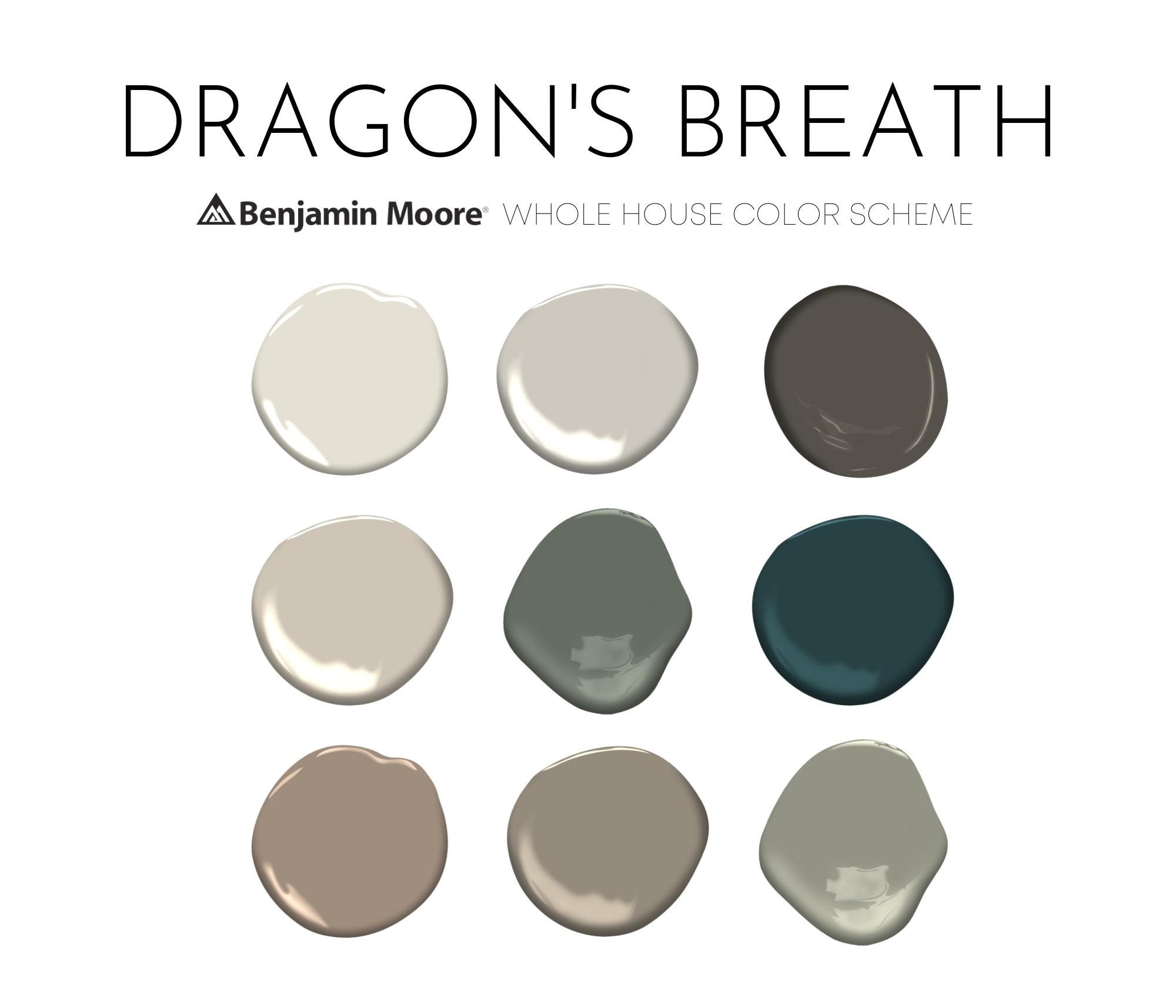 Dragon's Breath Benjamin Moore Paint Palette Warm - Etsy